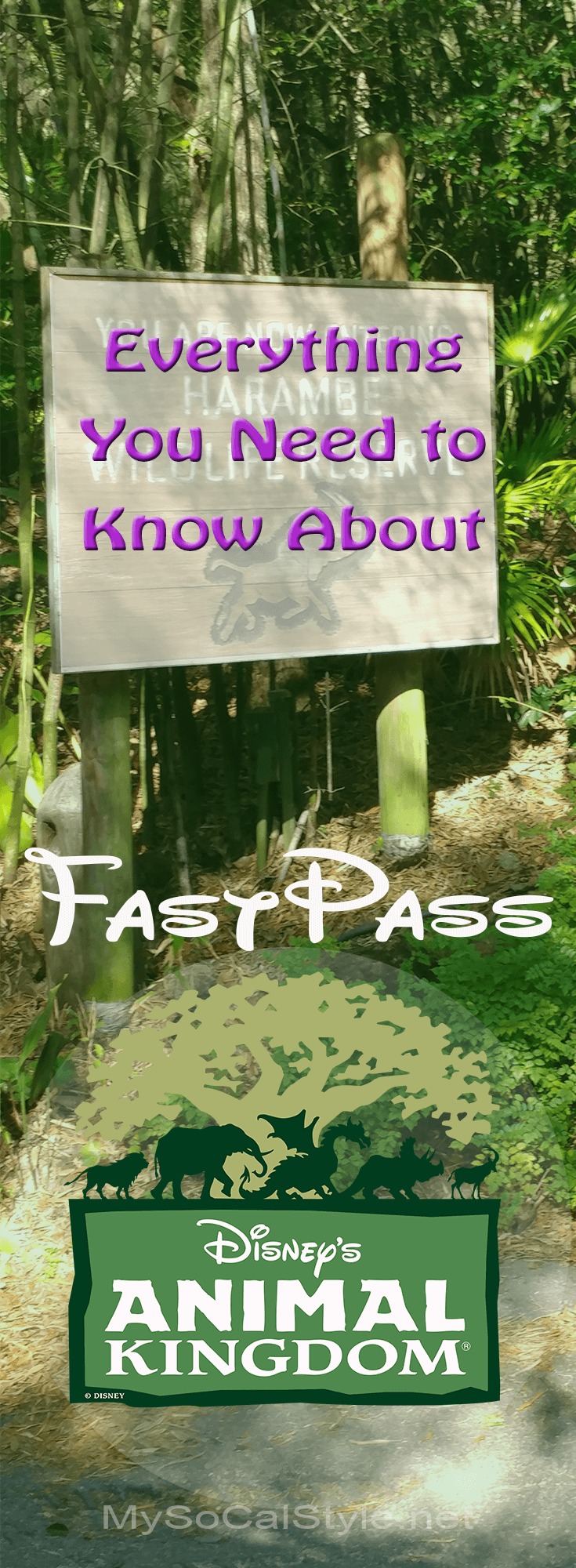 Everything You Need to Know About FastPass at Animal Kingdom!