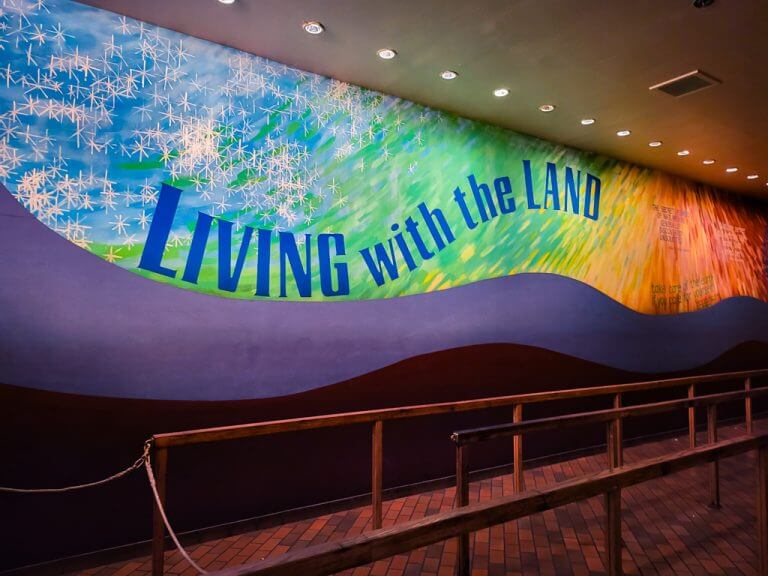 Epcot Strategy: Tips and Tricks for the Best Experience